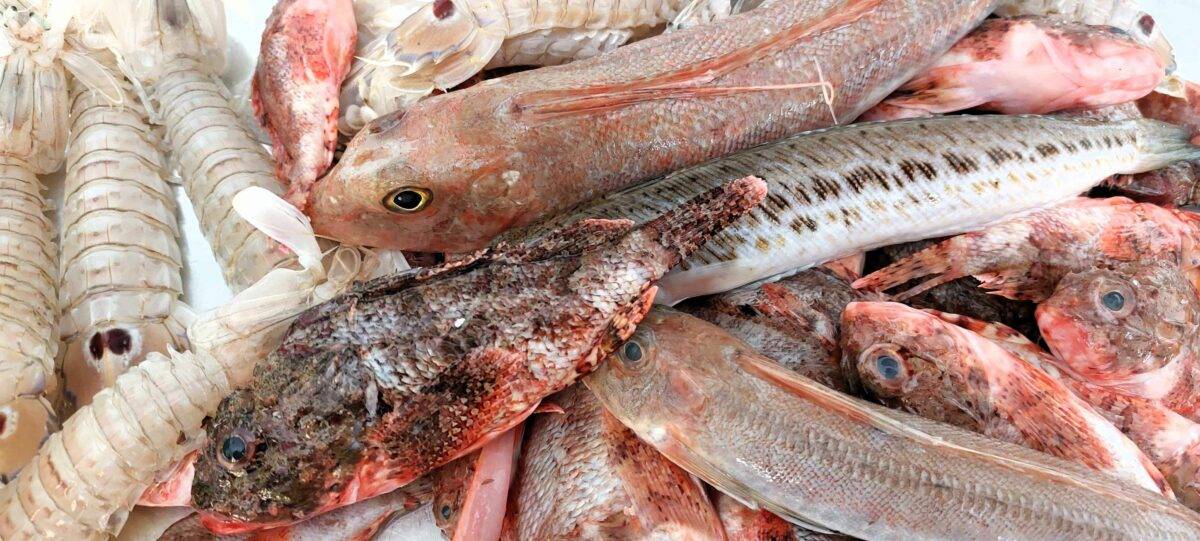 El caldero marinero, de rancho a plato de lujo - Almanaque Gastronomico